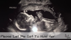 Wendy Nichol Music | Wendy Nichol Music